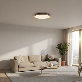Lighting Trends for Modern Apartments: Elevating Low-Ceiling Spaces ...